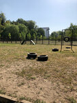 Dog park (Minsk, park 40-hoddzia Vialikaha Kastryčnika), köpek gezdirme alanları  Minsk'ten