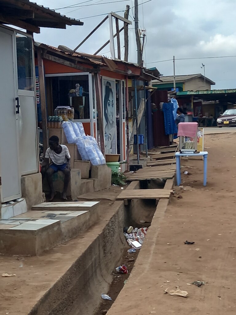 Güzellik salonu Abishark, Dünya, foto