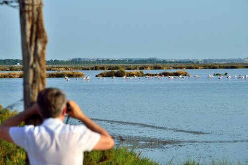 Spor ve eğlence merkezi Doñana Activa, Endülüs, foto
