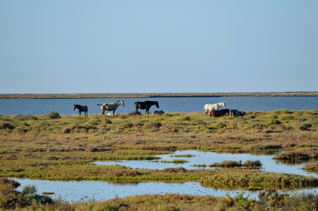 Spor ve eğlence merkezi Doñana Activa, Endülüs, foto