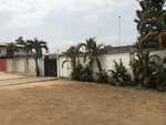Centre De Prospective Pour Le Developpement (Brazzaville, Plateau des 15 ans, Avenue Seizième), müzayede firmaları  Brazzaville'den