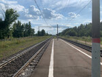 Lopatino Station (Moscow Region, Voskresensk Urban District, Voskresenskiy territorialny otdel), tren istasyonu  Moskova ve Moskovskaya oblastından
