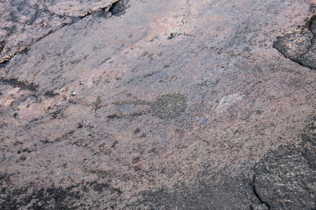 Turistik yerler Solar Symbol Petroglyph, Karelya, foto