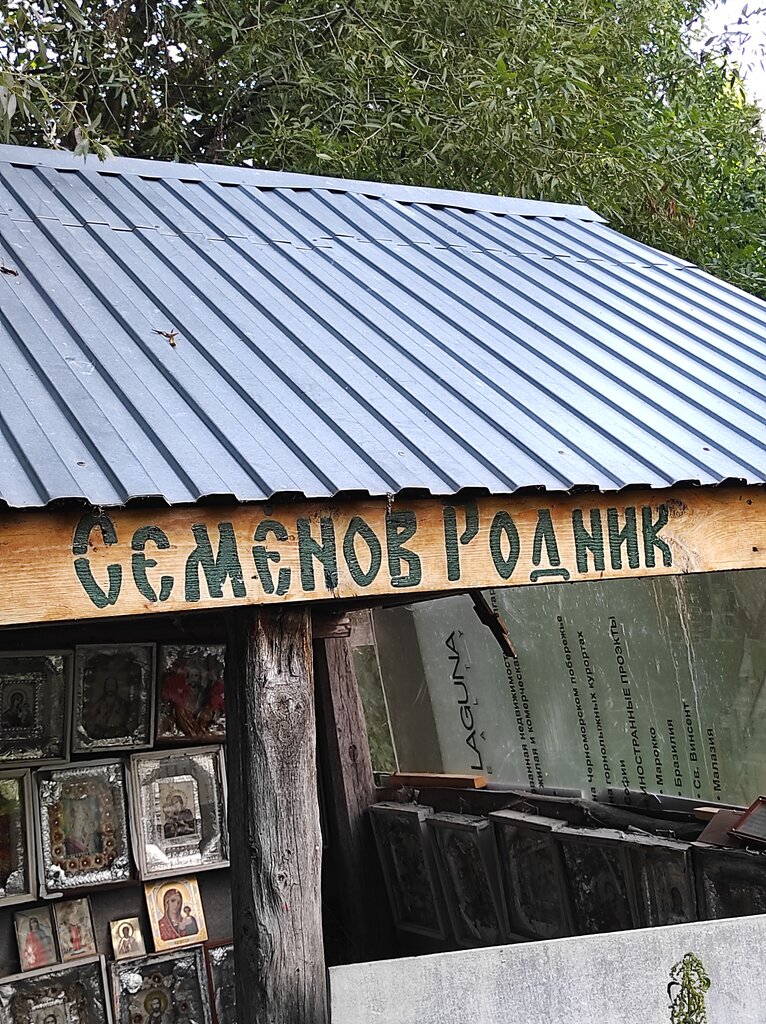 Pınar, çay Семёнов родник, Penzenskaya oblastı, foto