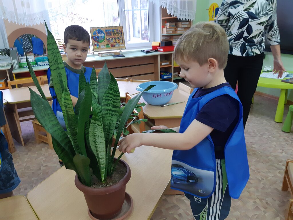 Anaokulları Mbdou Tsentr razvitiya rebenka Detsky sad № 9, Gatchina, foto