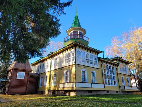 Müzeler ve sanat galerileri Дом-усадьба художника А.А. Борисова, Arhangelskaya oblastı, foto