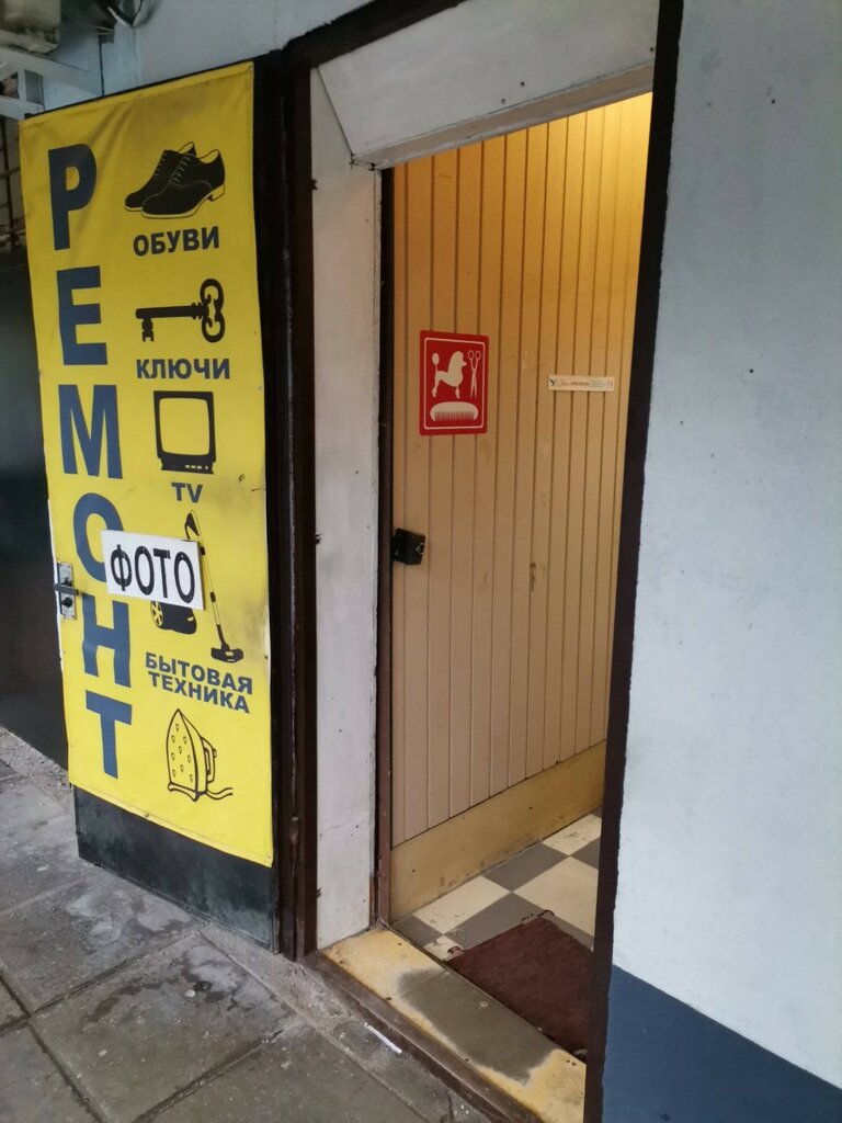 Evcil hayvan kuaförleri Zooluxe, Moskova, foto