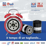 Autofficina New Service (Molise, Campobasso, Via Sette Dolori, 34), jant ve lastikçiler  Abruzzo'dan