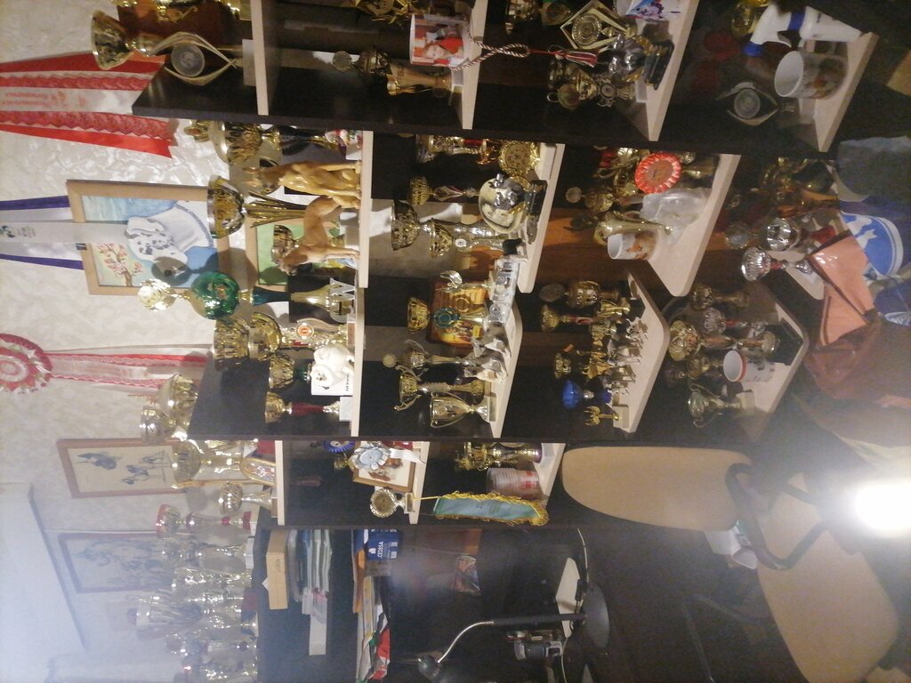 Hayvanat bahçesi merkezi Kinologichesky Plemennoy tsentr, Maykop, foto