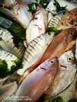 Pescheria da Salvatore Abate al mercato (Campania, Salerno, Pellezzano), toptan gıda mağazaları  Salerno'dan