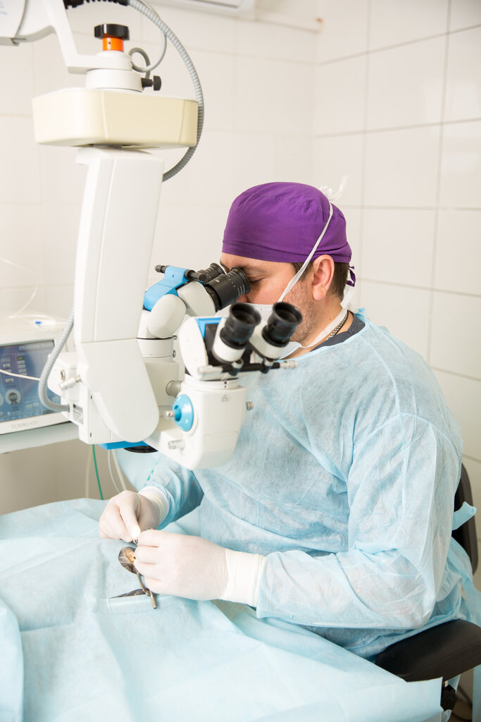 Veteriner klinikleri Veterinarnaja oftal'mologija Rekom, Moskova, foto