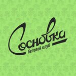 Сосновка (Raevskogo Avenue No:16), spor kulüpleri  Saint‑Petersburg'dan