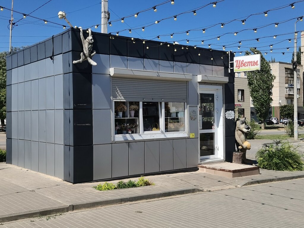 Çiçekçiler КсиЛия, Volgogradskaya oblastı, foto