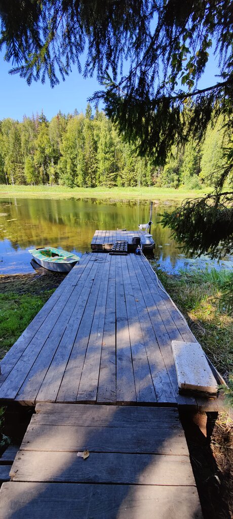 Konuk evi Gostevoy dom Ust-Shalashnaya, Permski krayı, foto