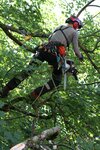Entre Terre et Ciel Sàrl (Geneva, Chemin des Blessonniers, 6), peyzaj tasarımı  Cenova'dan