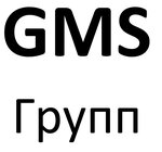 Gms групп (Polevaya Street No:13, Bykovka Village), torna işleri  Moskova ve Moskovskaya oblastından