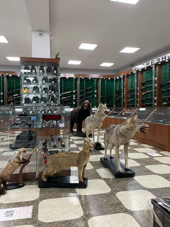 Silah ve koruma ürünleri Berkut, Dagestanskie Ogni, foto