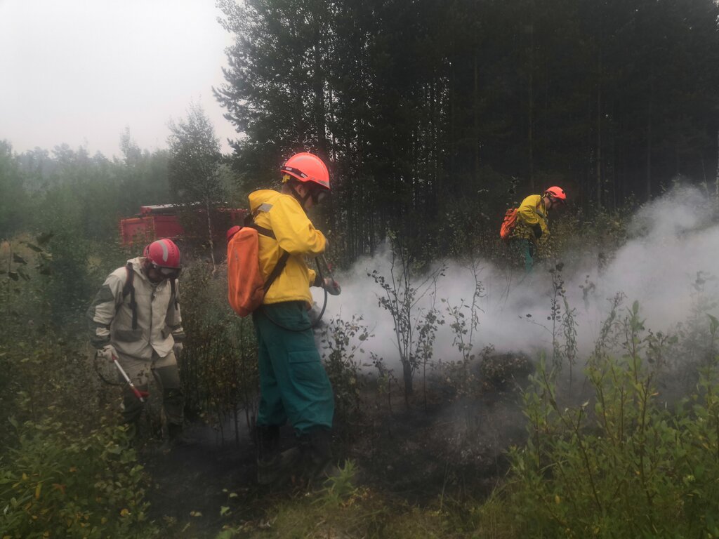 Orman işleri Base of aviation and ground protection of forests, Sovetski, foto