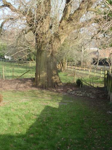 Otel Oak Tree B&b, İngiltere, foto