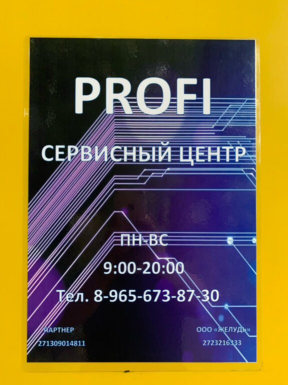 Bilgisayar teknik servisleri Profi, Habarovsk, foto