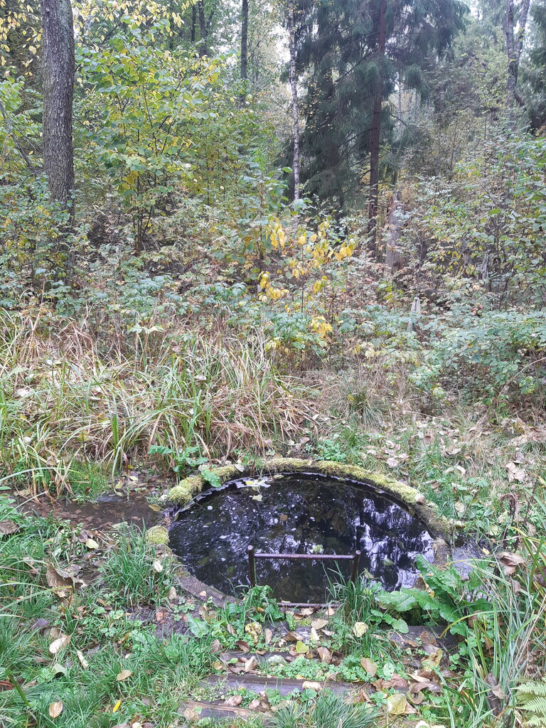 Pınar, çay Spring, stream, Moskova ve Moskovskaya oblastı, foto