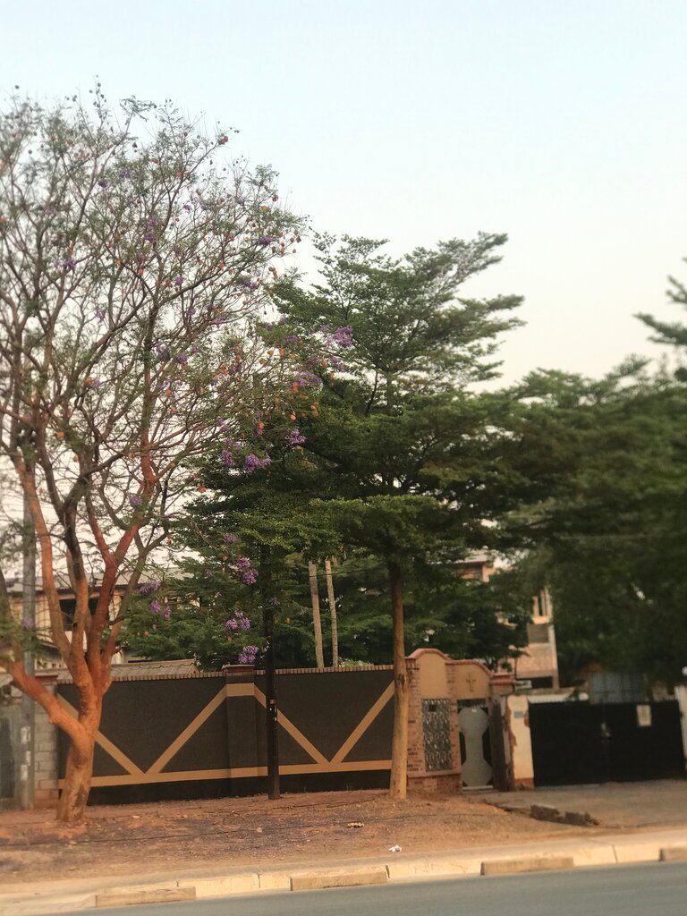 Eğitim merkezleri Zamtel Training Centre, Lusaka, foto