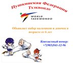 Пушкинская Федерация Олимпийского Тхэквондо (ulitsa Akademika Yangelya No:33), spor kulüpleri  Krasnoarmeysk'ten