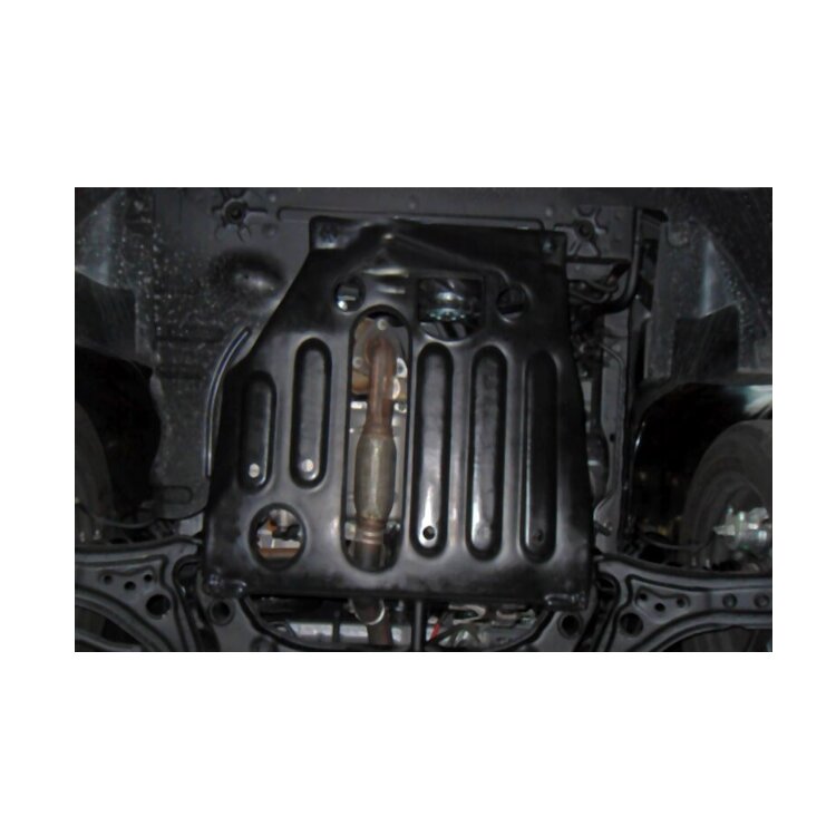 Oto temizleyicisi Autoplast Servibotes, Barranquilla, foto