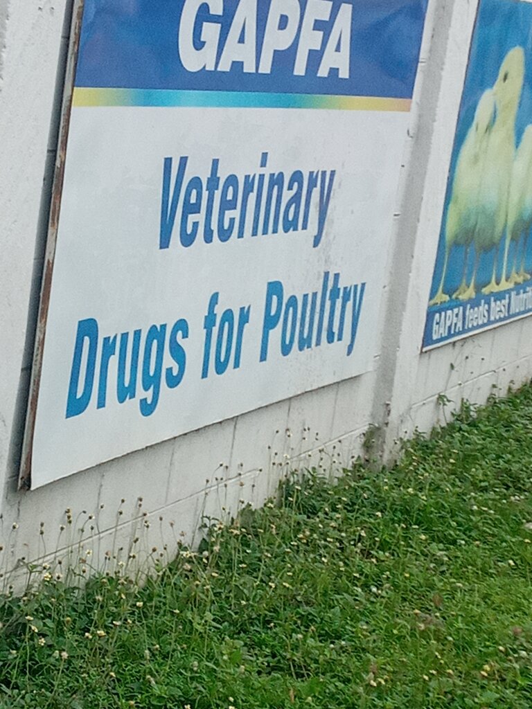 Tarım firmaları Gapfa veterinary, Akra, foto