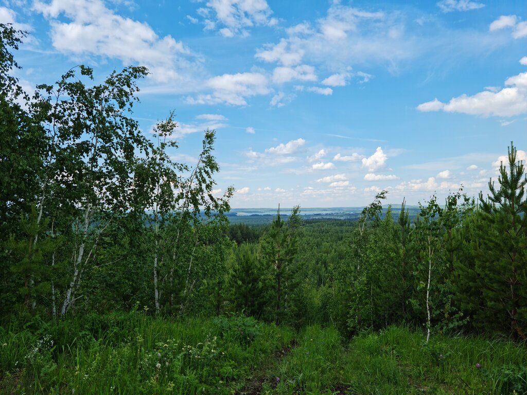 Dağ zirvesi Гора Редкая, Sverdlovskaya oblastı, foto