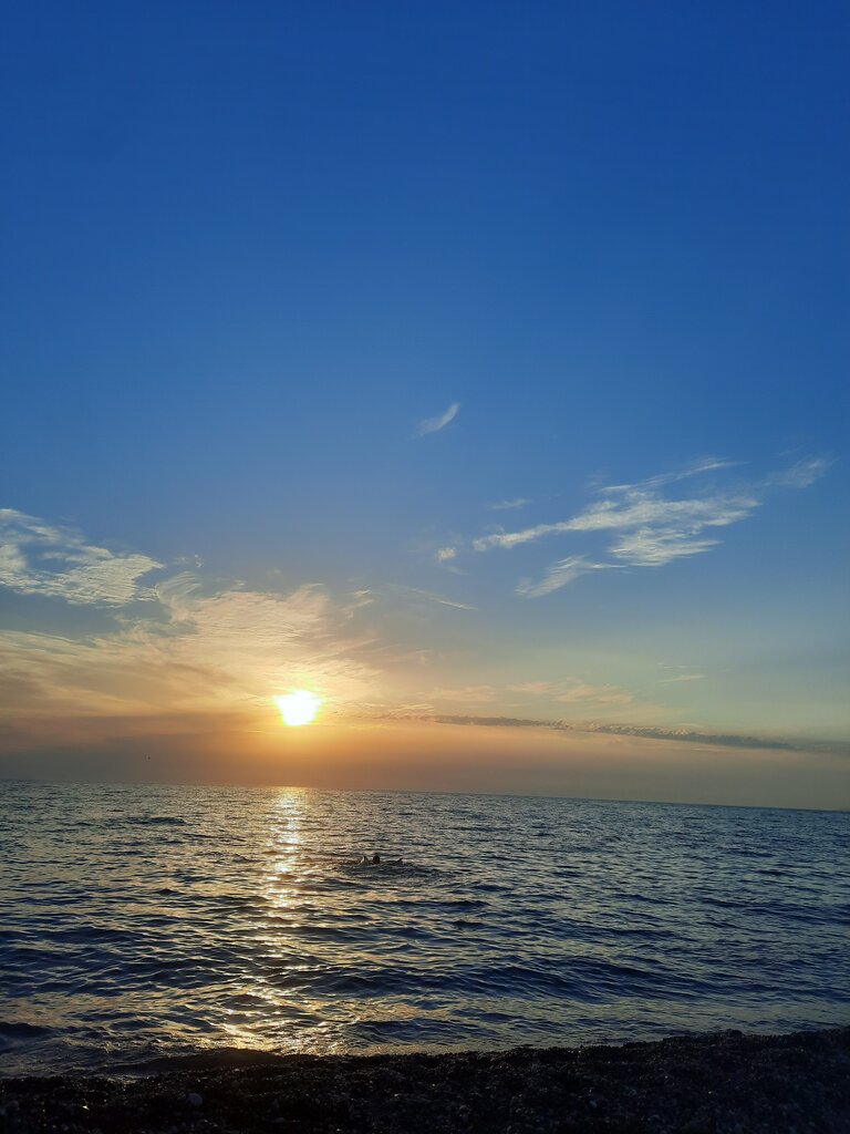 Resort oteller, tesisler Гостевой дом Маринели, Gagra, foto