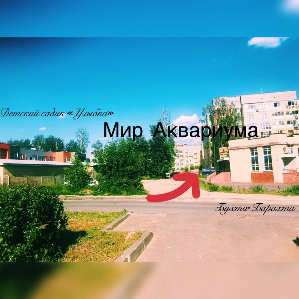 Petshop Aquarium World, Sarov, foto