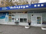 Akvarium (60-letya Oktyabrya Street No:42), market  Çeliabinsk'ten