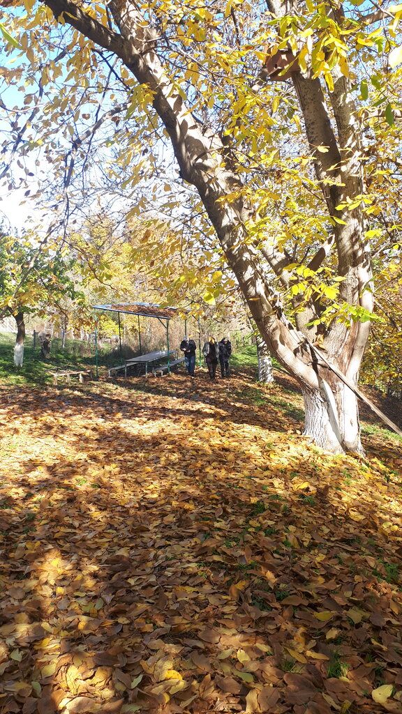 Pınar, çay Spring, stream, Yuzhno‑Sukhokumsk, foto