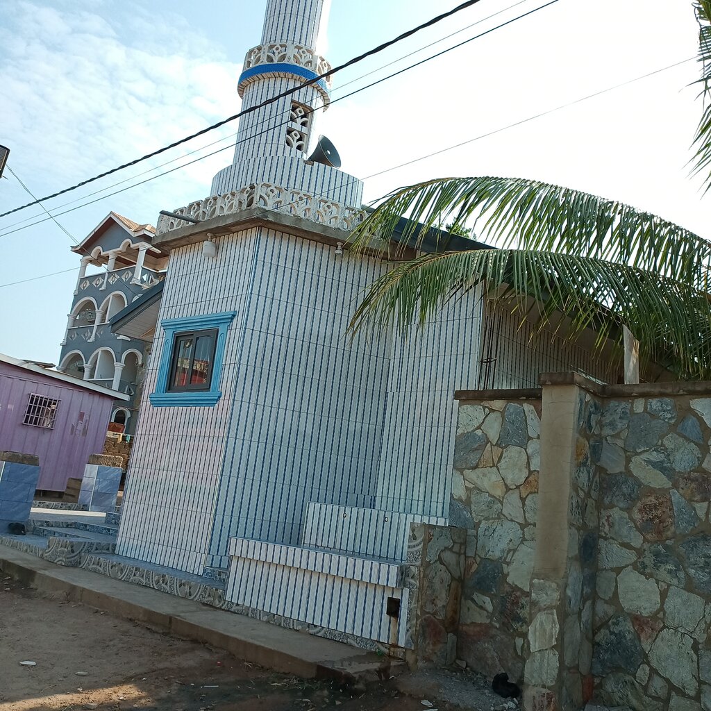 Cami Mosque, Dünya, foto