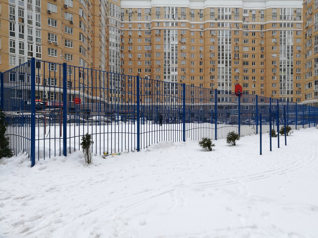 Spor alanı Sports ground, Moskova, foto