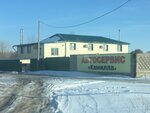 Kamilla (Industrialnaya Street No:21), taksi  Nijnekamsk'tan (Tüben Kama'dan)