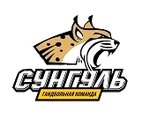 Olympic Reserve Handball Sports School (40 Let Oktyabrya Street No:15), spor okulları  Snejinsk'ten