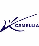 Camellia (Oktyabrskaya Street No:3Б), sanat atölyeleri  Ozersk'ten