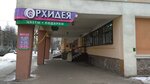 Orkhideya (praspiekt Kasmanaŭtaŭ No:19), çiçekçiler  Gomel'den