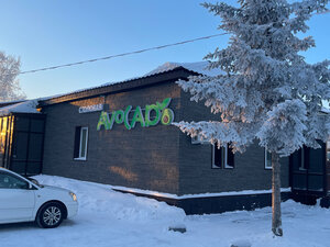 Авокадо (Amur Region, Zeya), kantin, yemekhane  Zeya'dan
