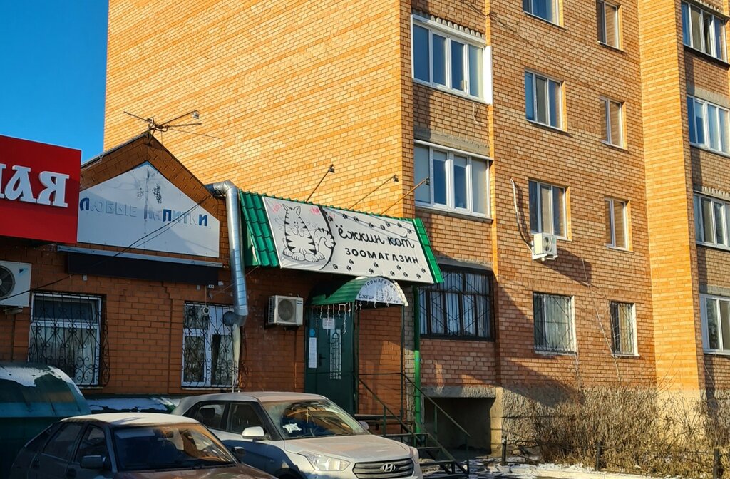 Petshop Ёжкин кот, Orenburg, foto
