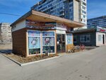 Altej (ulitsa Lomova No:32/2), çiçekçiler  Pavlodar'dan