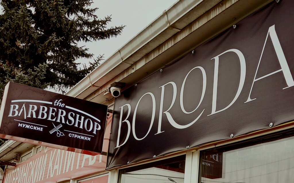 Berberler Boroda, Novopavlovsk, foto