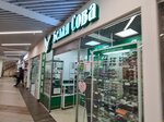 Белая Сова (Novaya ulitsa No:4), optik  Orenburg'dan