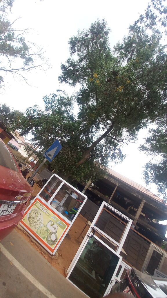 Fast food Magava Food Joint, Dünya, foto