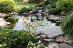 Integrale Giardino - Vivaio di Bert (Friuli-Venezia Giulia, Provincia di Udine, Via Colloredo di Prato), çiçek teslimatı  Friuli‑Venezia Giulia'dan