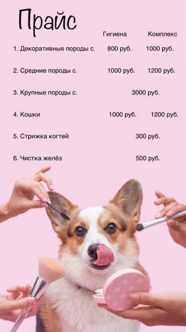 Evcil hayvan kuaförleri Happy Pets, Ruza, foto