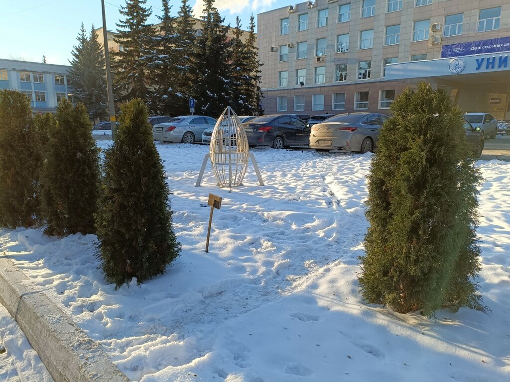 Dekorasyon ve süsleme, onur panosu Капсула столетия Архипелаг 2121, Velikiy Novgorod, foto