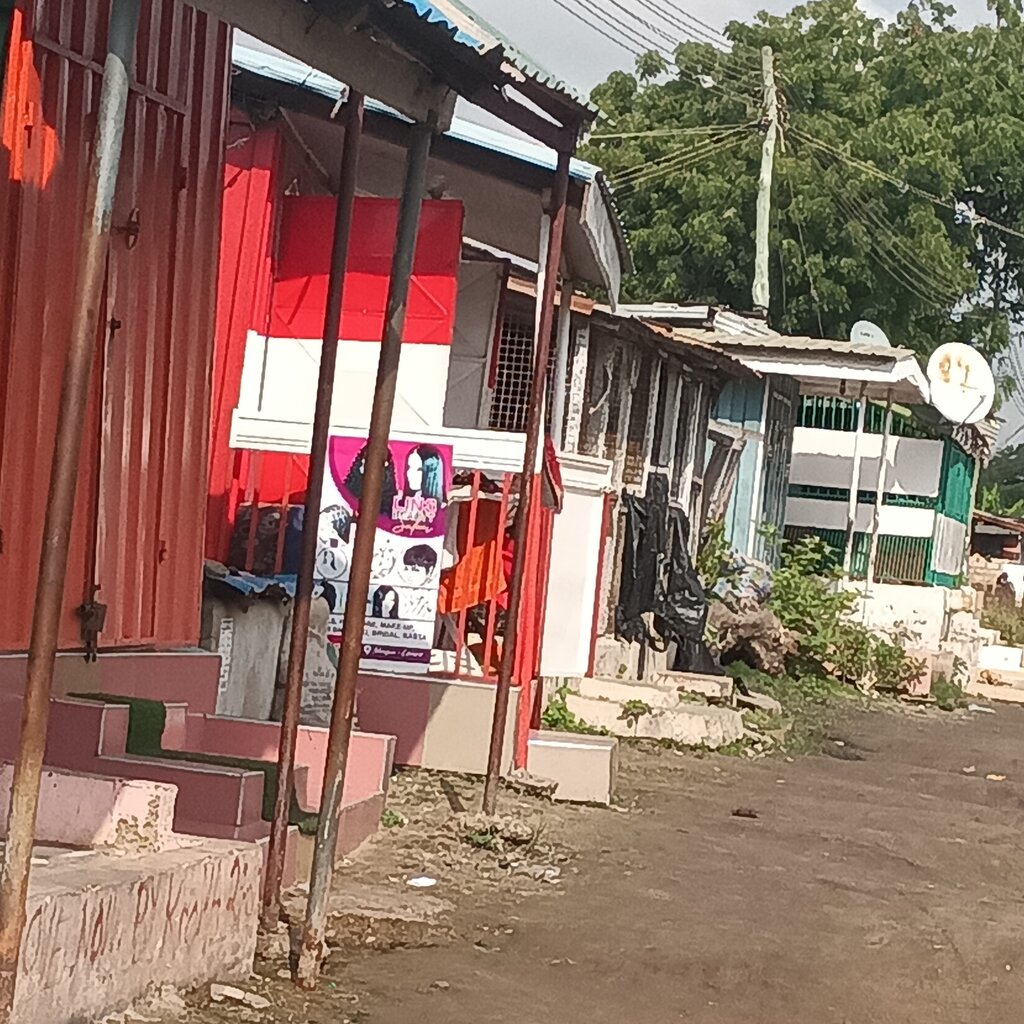 Güzellik salonu Lin, Dünya, foto